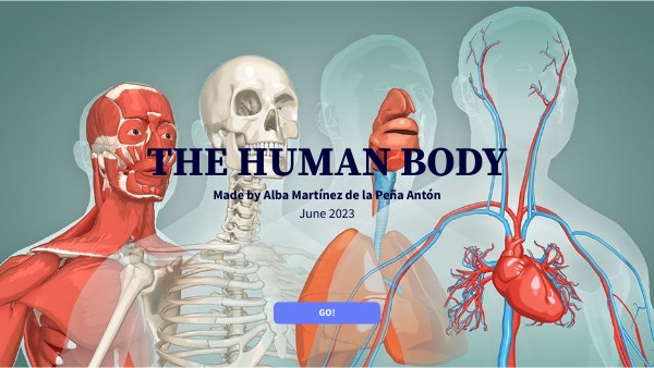 The Human Body