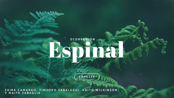 PRESENTASION ECORREGION ESPINAL | Genially