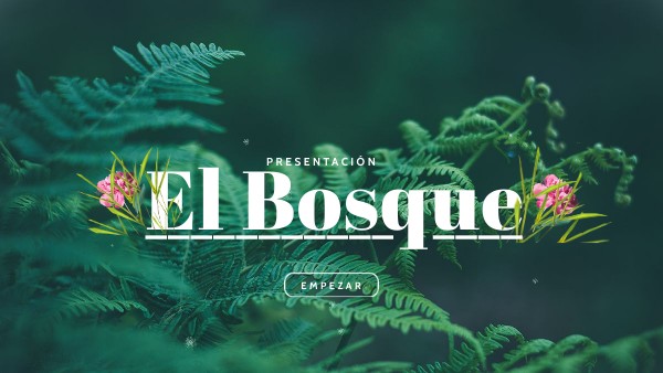 PRESENTACIÓN EL BOSQUE | Genially