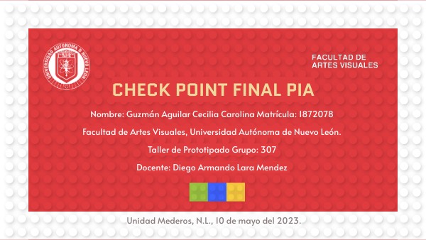 Check Point Final PIA