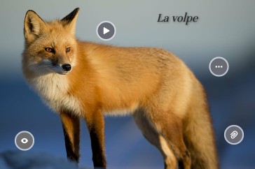 La volpe
