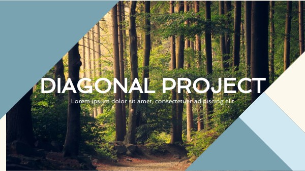 DIAGONAL PROJECT PRESENTATION