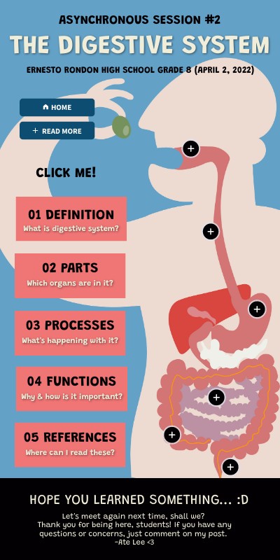THE DIGESTIVE SYSTEM | Genially