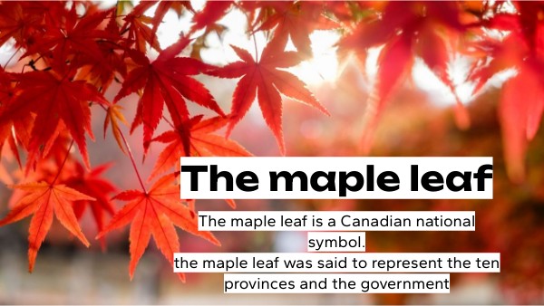 Maple leaf