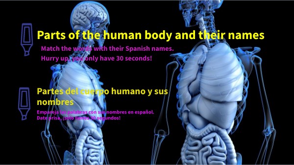 Parts of the human body and their names | Genially