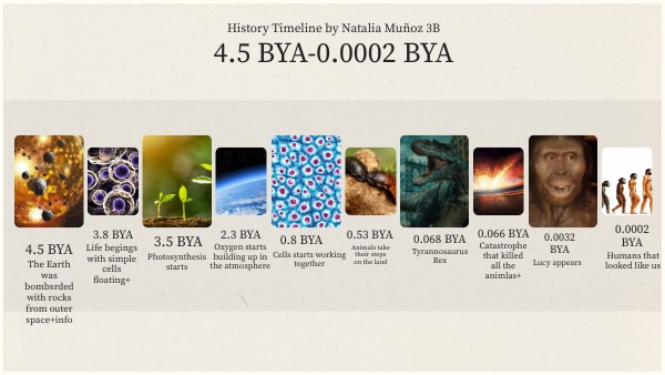 History Timeline