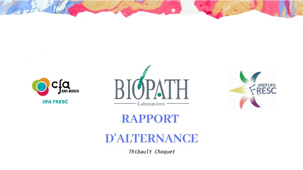 BASIC REPORT | Genially