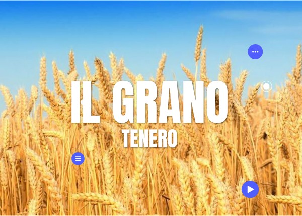 NATURE INTERACTIVE IMAGE