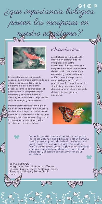 INFO VERTICAL MARIPOSAS