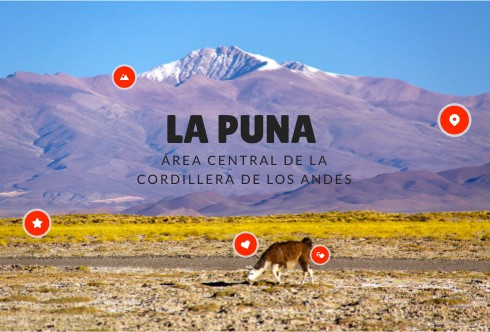 Puna Argentina
