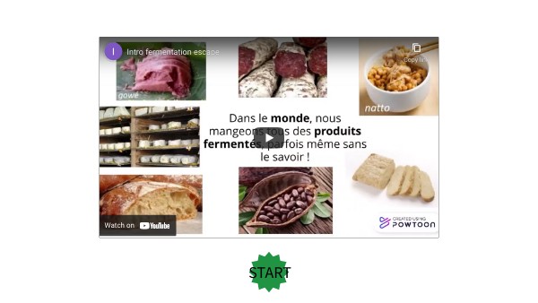 Intro à la fermentation | Genially