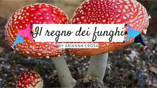 regno funghi | Genially