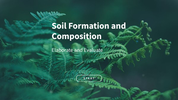 Soil Formation | Genially