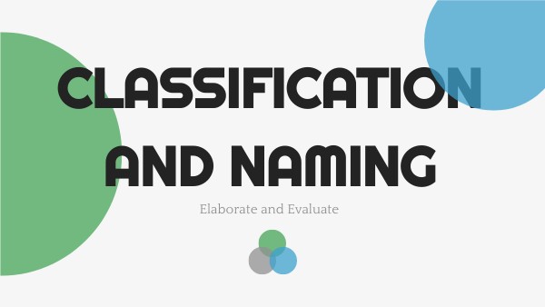 2024 Classification and Naming: Elaborate and Evaluate | Genially