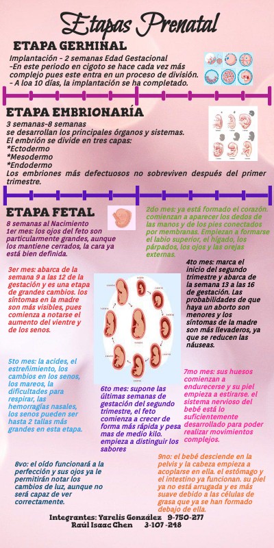 Genially Etapa prenatal | Genially