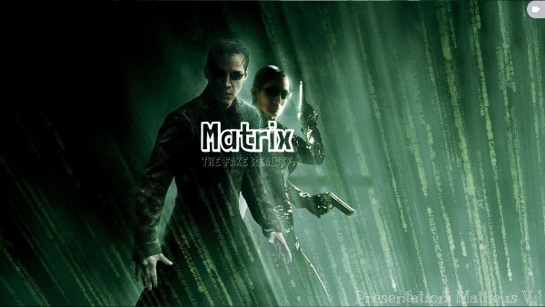 Matrix Presentation - EEBNSS