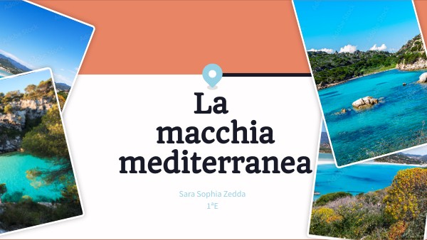 La macchia mediterranea