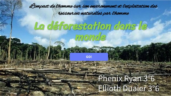 Exposé Déforestation Phenix Ryan et Ellioth Duhaier | Genially