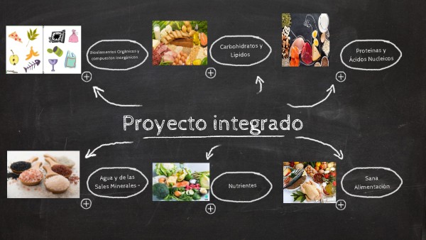Proyecto Integrado