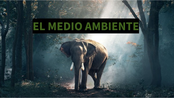 EL MEDIO AMBIENTE