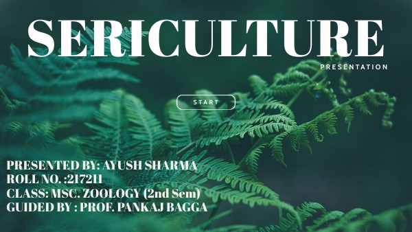 Copy - NATURE PRESENTATION | Genially