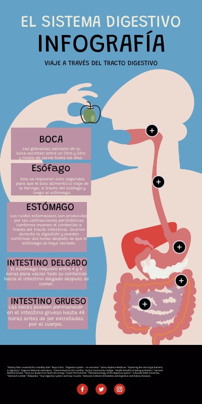 INFO VERTICAL DIGESTIVO