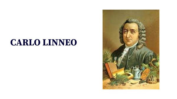 Carlo Linneo