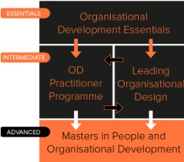 OD Programmes Diagram (MSc)