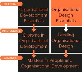 OD Programmes Diagram (ODE Design)