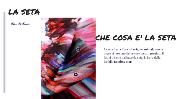 la seta