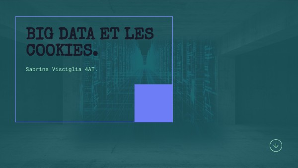 les cookies et le big data_SV. | Genially