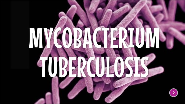 PRESENTACIÓN MYCOBACTERIUM TUBERCULOSIS | Genially
