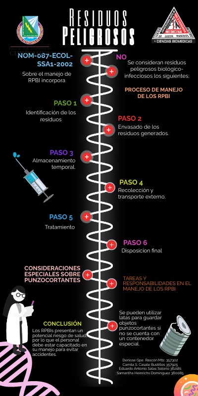 Infografía de RPBI's. | Genially