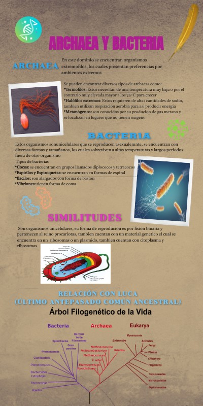 INFOgrafia microbiologia | Genially