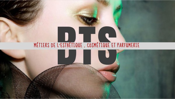 PRESENTATION BTS LANGUES