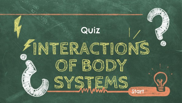 Interactions of body systems | Genially