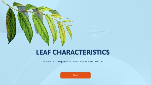 Leaf Characteristics