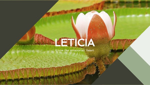Leticia | Genially