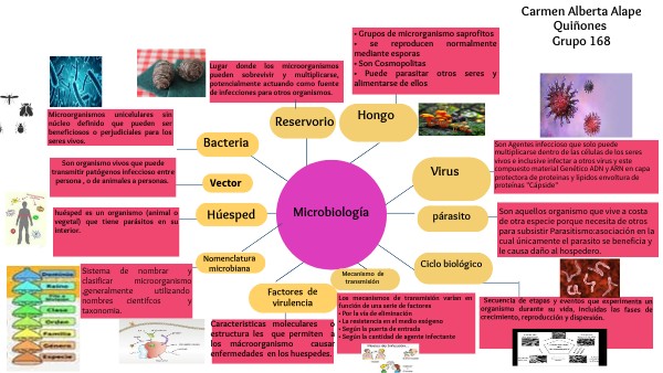 Microorganismos | Genially