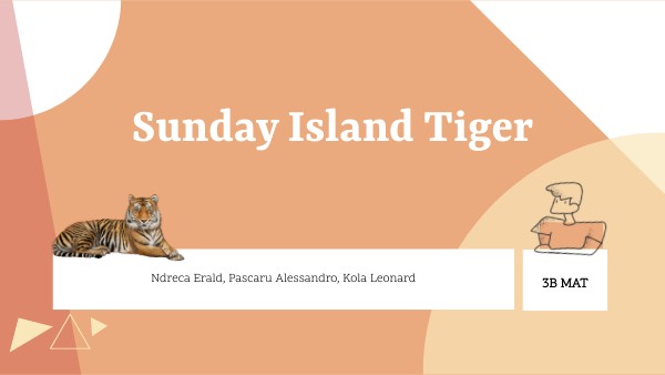sunday island tiger