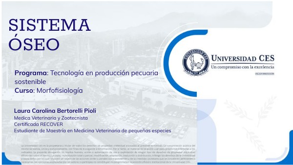 Osteología