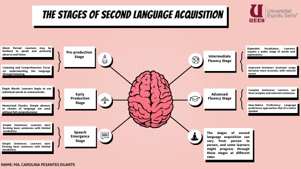 THE STAGES OF 2 LANGUAGE ACQUISITION | Genially