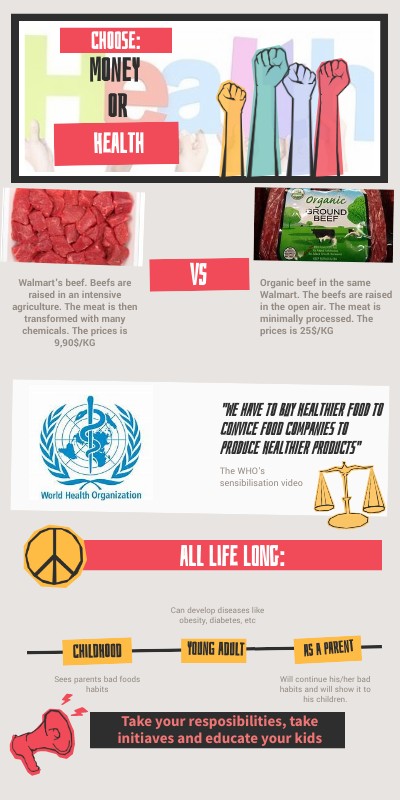 Human Rights Infographic