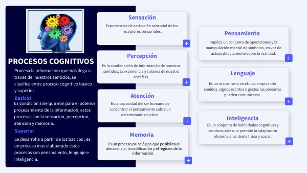 PROCESOS COGNITIVOS | Genially