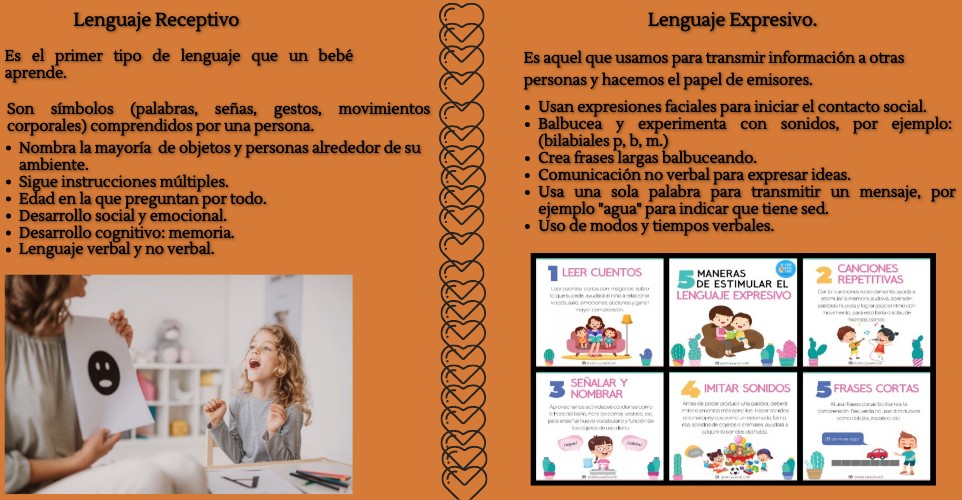INFOGRAFÍA DE LENGUAJE RECEPTIVO Y EXPRESIVO. | Genially