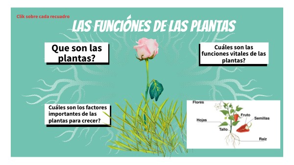 Las funciónes de las plantas