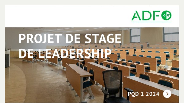 Projet de stage de leadership | Genially