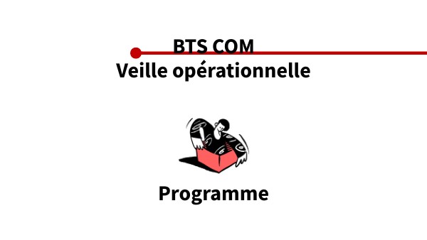 MAESTRIS BTS COM PROGRAMME VEILLE | Genially
