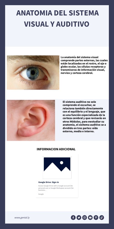 INFOGRAFÍA ANATOMIA DE LOS SISTEMAS VISUAL Y AUDITIVO | Genially