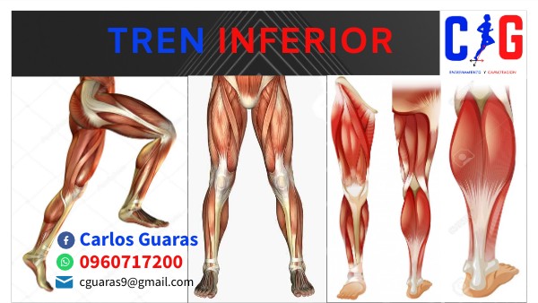 TREN INFERIOR | Genially